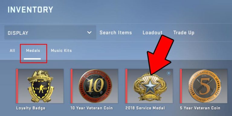 CS:GO Profile Ranks + Service Medals (Complete List)