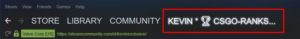 Quick Guide: How to Change your Steam Profile Privacy? – CSGO Ranks